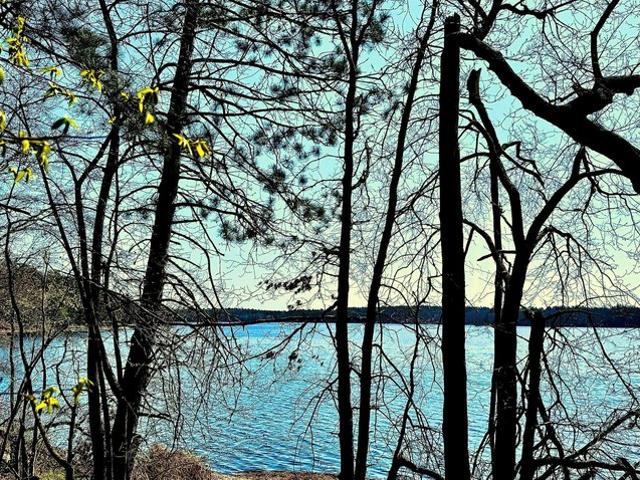 Rognaldson Rd, Brainerd, MN 56401