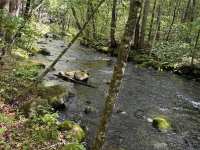 Rolfe Rd Lot,harrison, Plot For Sale