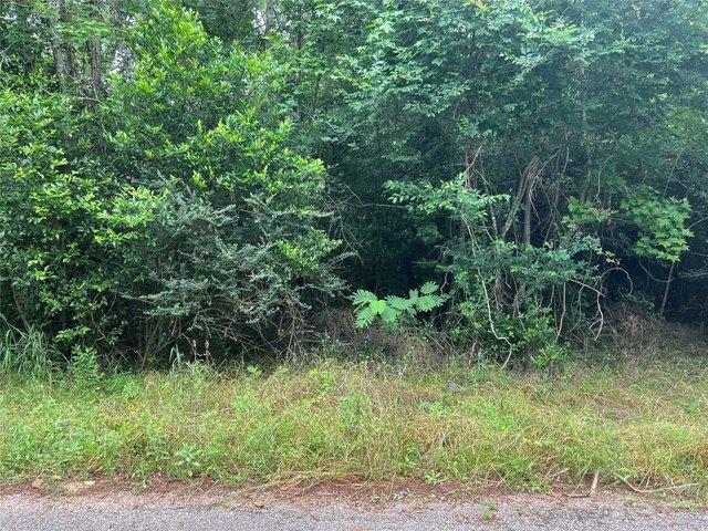Rollingwood Loop, Conroe, TX 77303