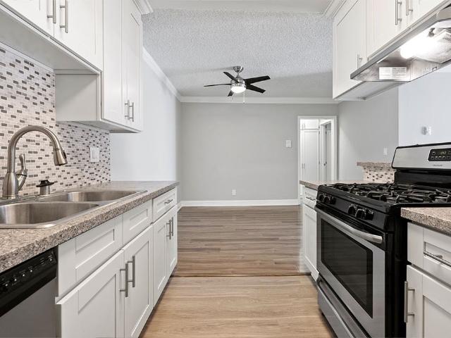 Rose North 1 Bedroom Apartment for Rent at 10825 Rose Ave, Los Angeles, CA 90034 Mar Vista