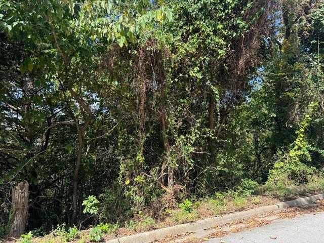 Rose Oneill Dr Lot 22, Branson, MO 65616