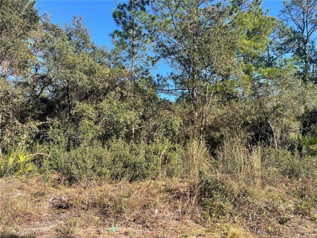 Rose Bud Dr, DeLand, FL 32720 | MLS #O6374 | Compass