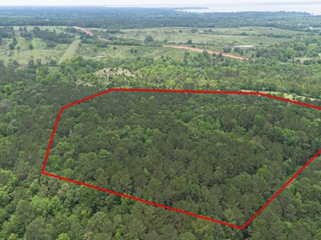 Rose Hill Rd, Coldspring, TX 77331