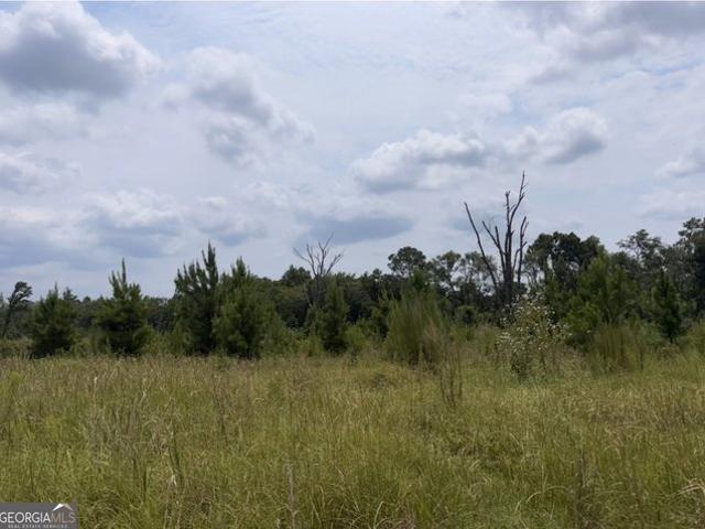 Rose Hollow Rd, Lyons, GA 30436