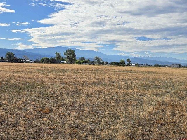 Rose Rd, Montrose, CO 81403