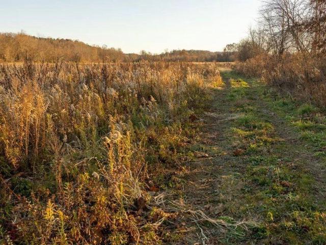 Roseville OH 43777 LS101011971