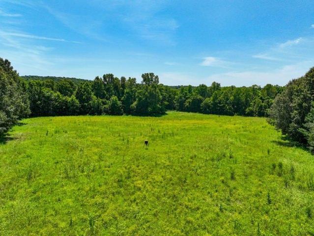 Ross Cemetery Rd, Tiline, KY 42083