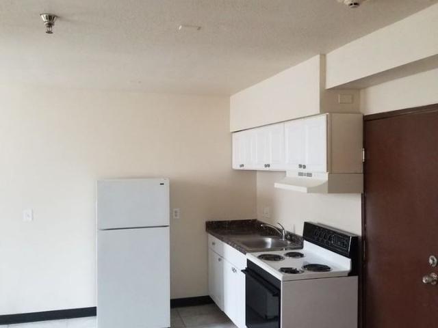 Rotana Apartments 1 Bedroom Apartment for Rent at 3521 Caniff St, Hamtramck, MI 48212