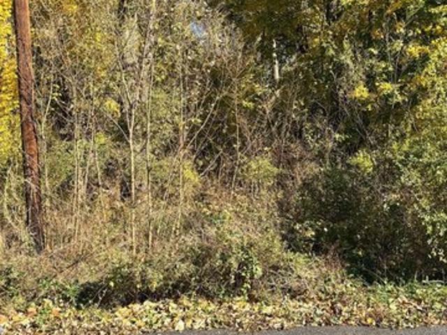 Rothwell Ave Lot 75, Martinsburg, WV 25401