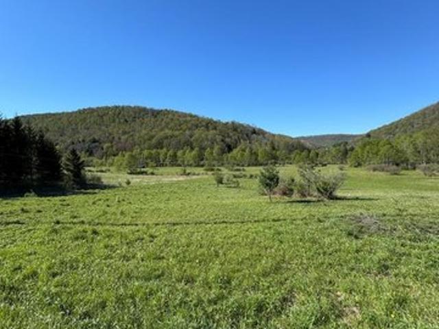 Route 44 N, Coudersport, PA 16915