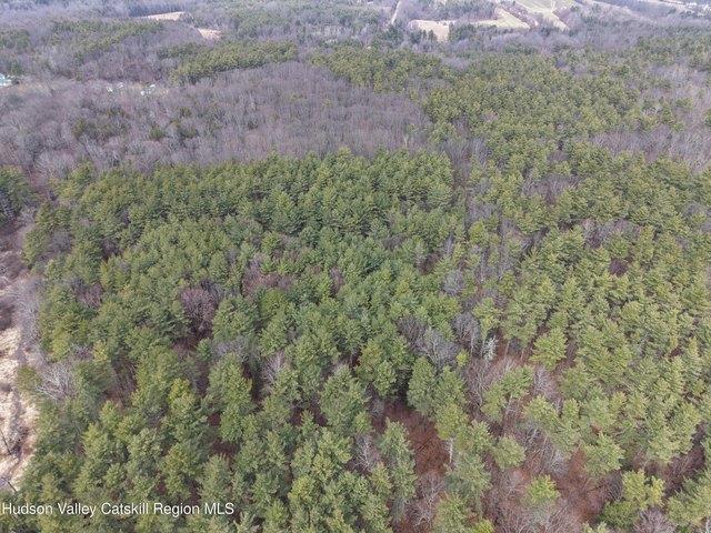 Route 51 Lot 54, Hannacroix, NY 12087