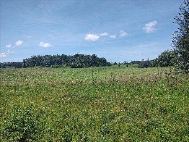 Route 5 # 20, Seneca Falls, NY 13148