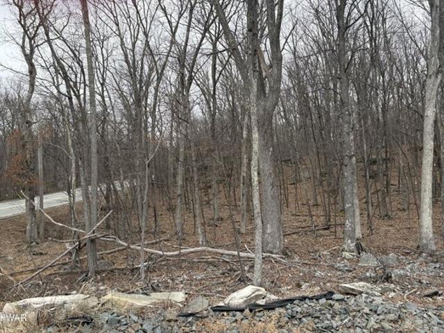 Route 739 Lot 3, Milford, PA 18337