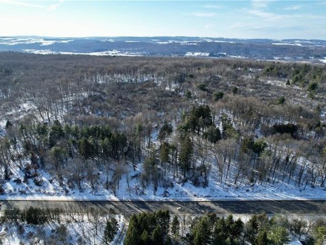 Route 92, Cazenovia, NY 13035