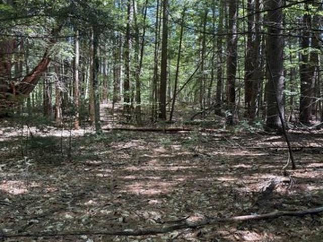 Route 175 Lot 4, Holderness, NH 03245