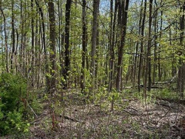Route 300, Newburgh, NY 12550
