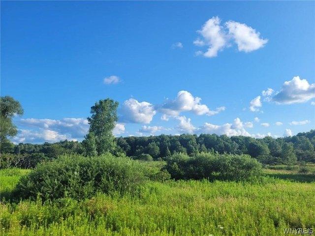 Route 394, Randolph, NY 14772