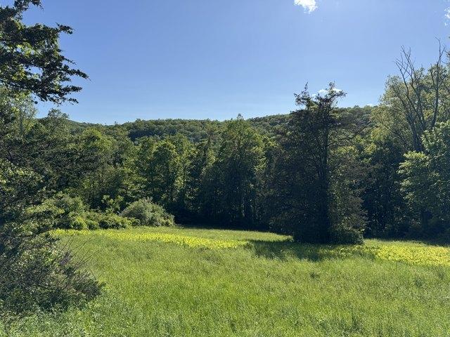 Route 39 S State, Sherman, CT 06784