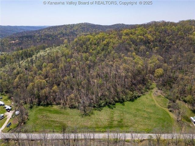 Route 3 Mahone Crk, Hamlin, WV 25517