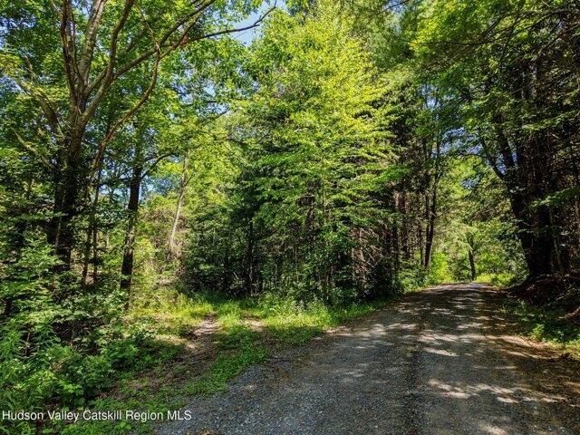 Route C Lot,prattsville, Plot For Sale