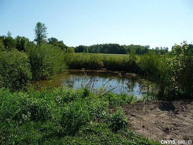 Route,canastota, Plot For Sale