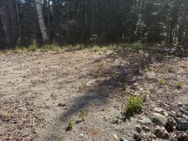 Route,gouldsboro, Plot For Sale