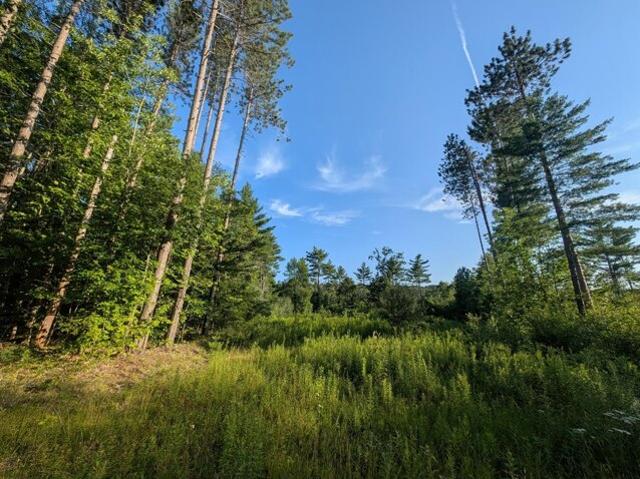 Route Lot,litchfield, Plot For Sale