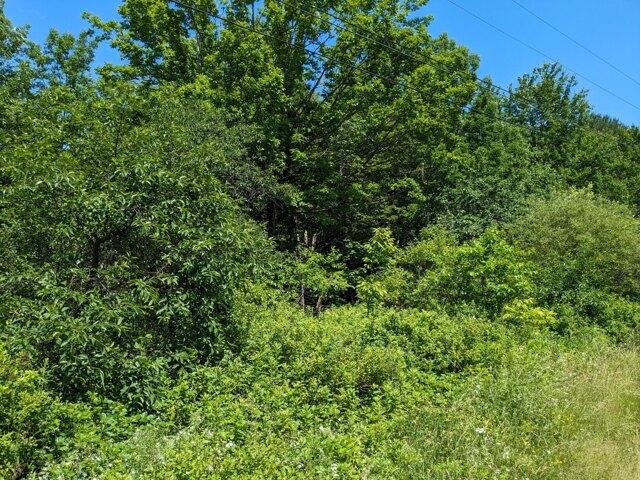 Route,palermo, Plot For Sale