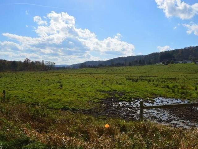 Route,shinglehouse, Plot For Sale