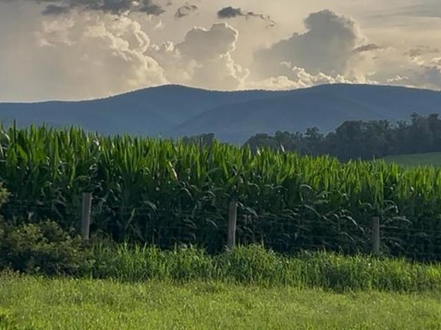 Roudabush Ln, Churchville, VA 24421