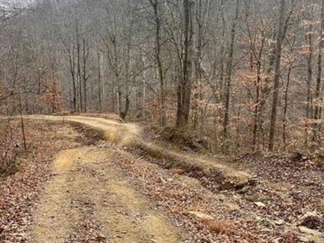Rough N Tough, Prestonsburg, KY 41653