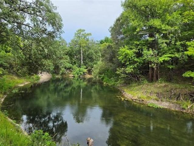 Round Table Rd, Dade City, FL 33523