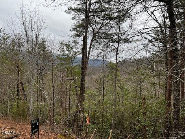 Round Top Way