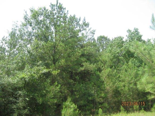 Round up Rd, Waller, TX 77484