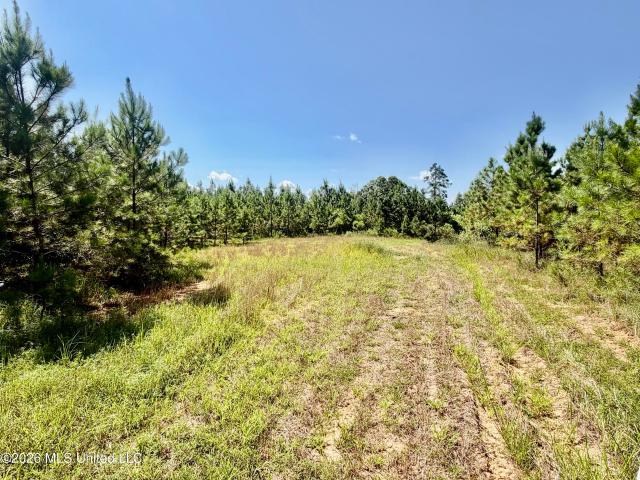 Rounsaville Church Road, Coffeeville, MS 38922