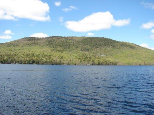 Row Off Long Falls Dam Rd Lot,lexington Township, Plot For Sale