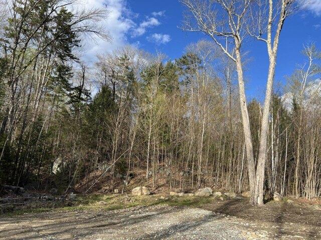 Rowentown Rd Lot,wentworth, Plot For Sale