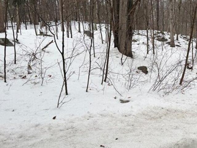 Rowledge Pond Rd, Monroe, Plot For Sale