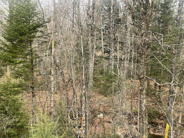 Roxbury Notch Rd Lot,roxbury, Plot For Sale