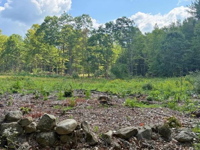Roxbury Rd Lot 9 2, Sanbornton, NH 03269