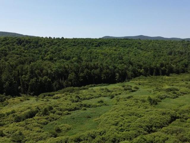 Roxbury Rd Lot 0, Roxbury, VT 05669