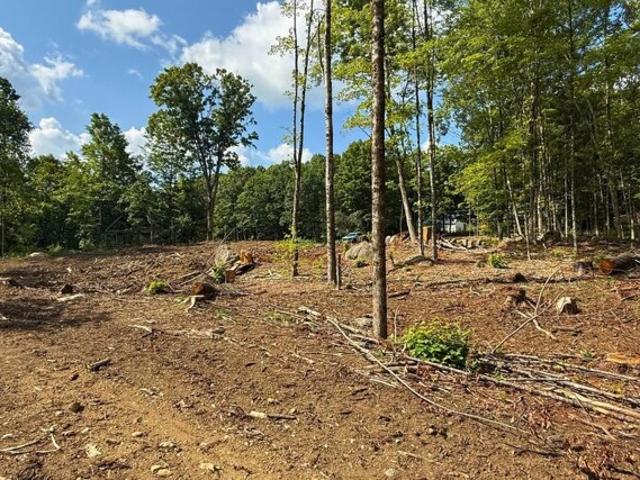 Roxbury Rd Lot, Sanbornton, Plot For Sale