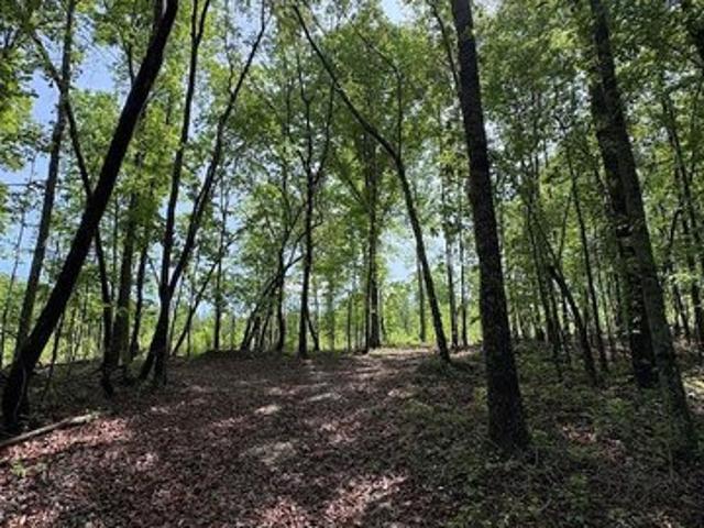 Roy Dean Rd Lot 205, Buchanan, GA 30113