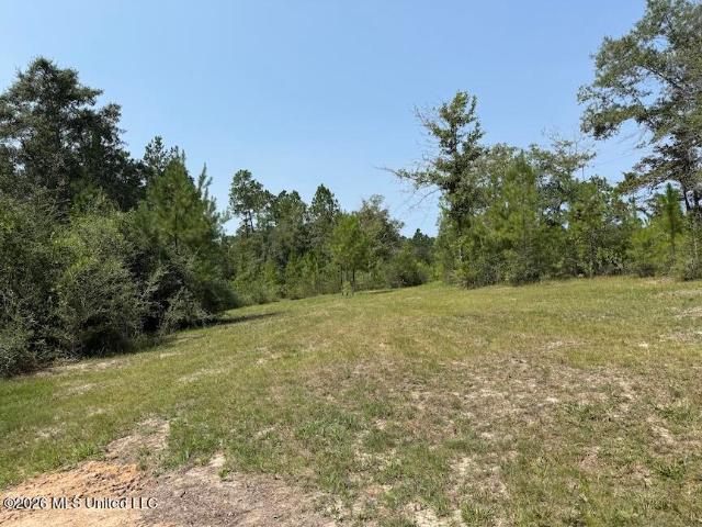 Roy Oneal Road, Perkinston, MS 39573