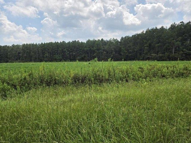 Roy Lot 7 and Blanche Hulett Rd, Fitzgerald, GA 31750