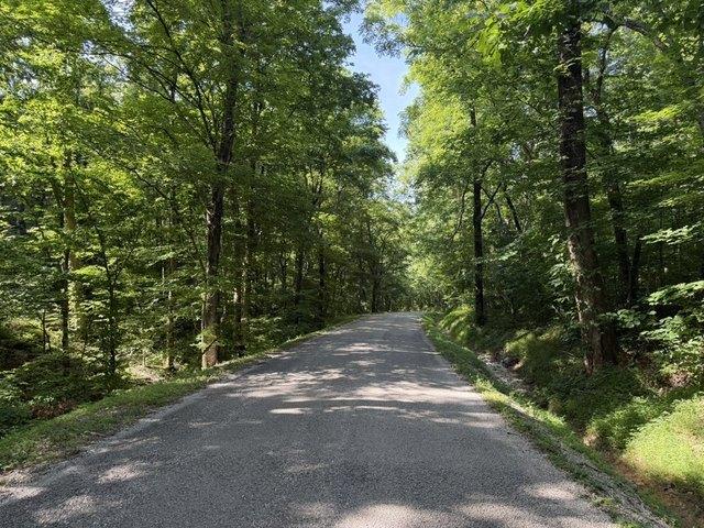 Roy Thompson, Mount Pleasant, TN 38474