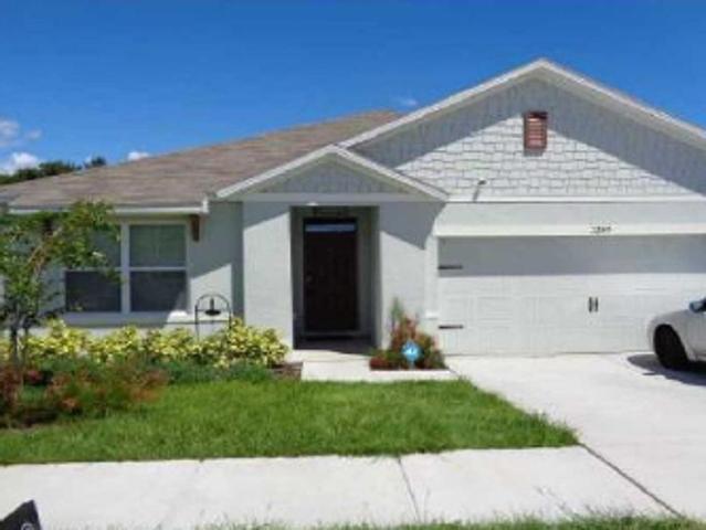 Royal Tern Dr