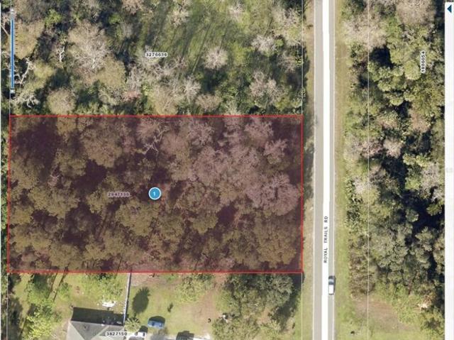 Royal Trails Rd Lot,eustis, Plot For Sale