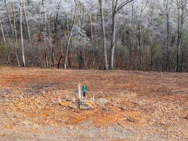 Royal View Lndg Lot 120, Murphy, NC 28906