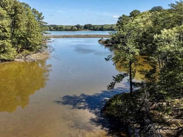 Royal Woods Ln Lot 1, Belle Haven, VA 23306